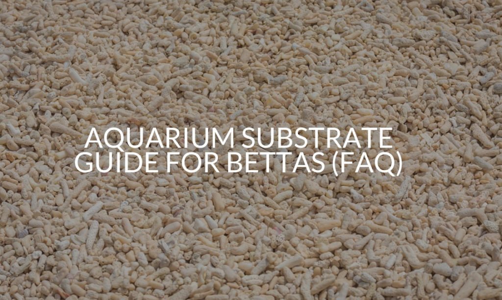 Aquarium Salt For Bettas (FAQ) - Betta Care Fish Guide