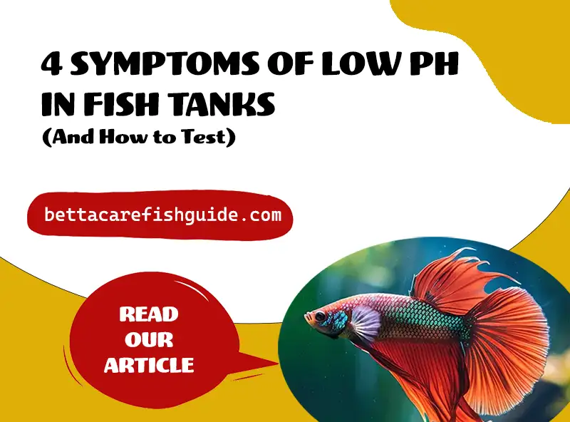 4 Symptoms Of Low pH In Fish Tank (& How To Test)