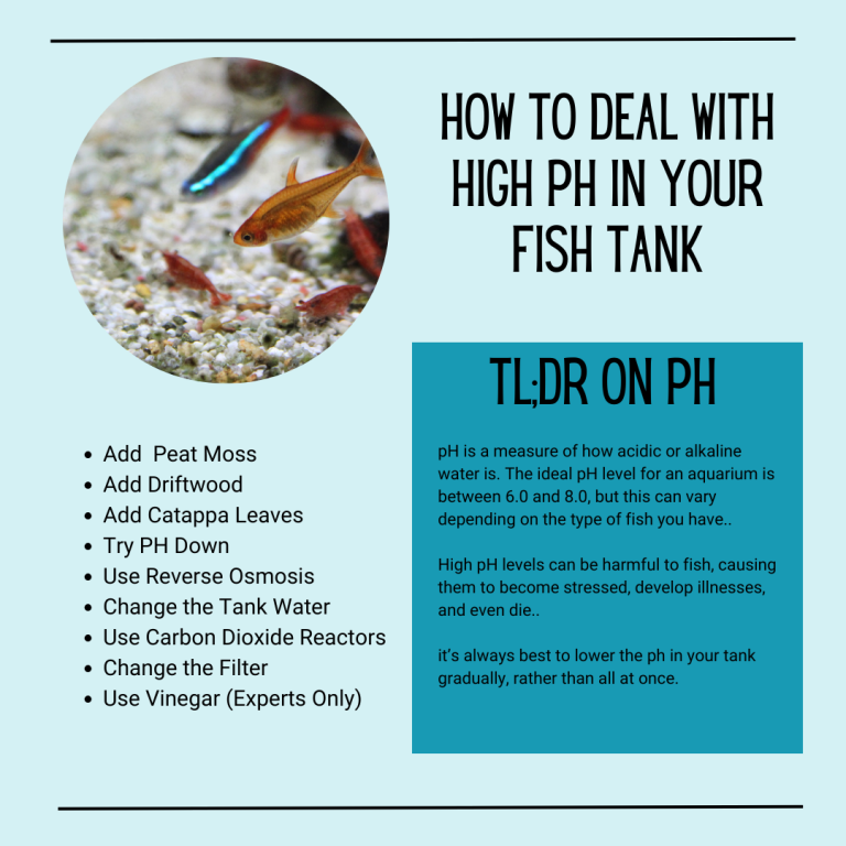 9 Ways To Lower Aquarium pH + Symptoms & Causes - Betta Care Fish Guide