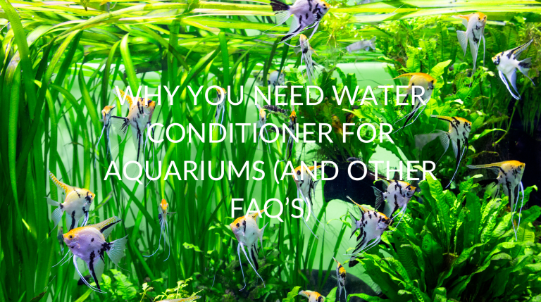 Why You NEED Water Conditioner For Aquariums (And Other FAQ's)