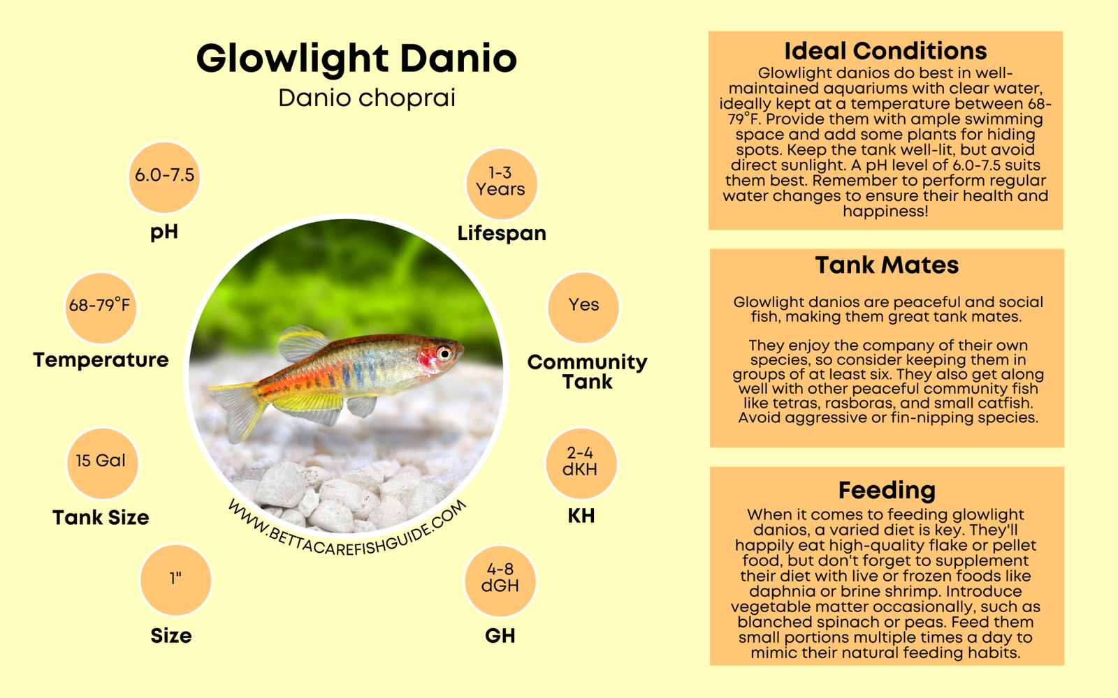 The 63 Most Colorful Freshwater Fish: Are They For You?