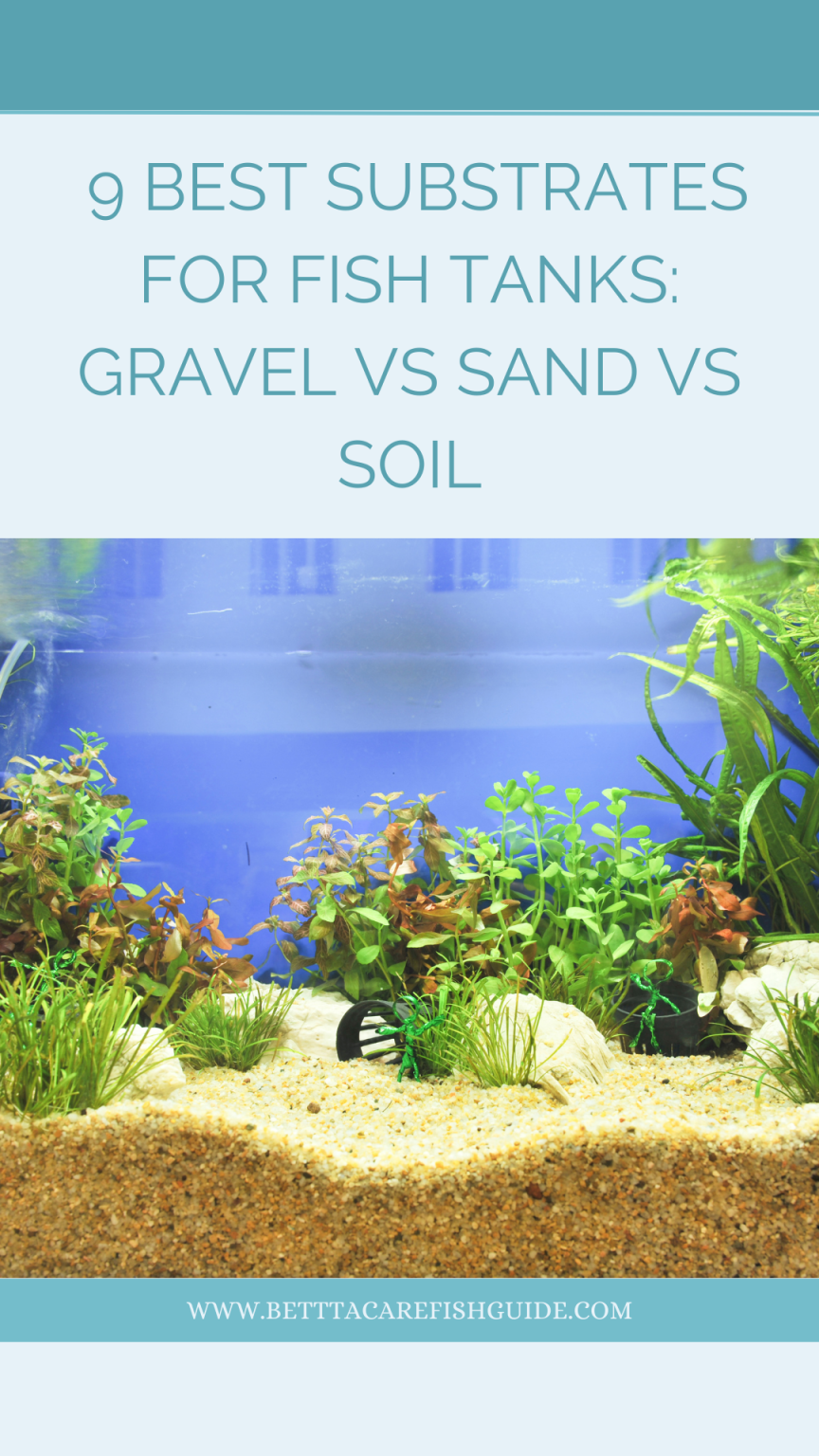 9 Best Substrates for Fish Tanks: Gravel Vs Sand Vs Soil - Betta Care ...