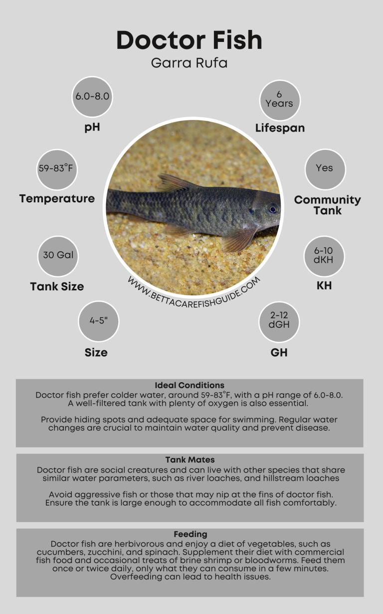 22 Types Of Freshwater Goby (Common To Rare)