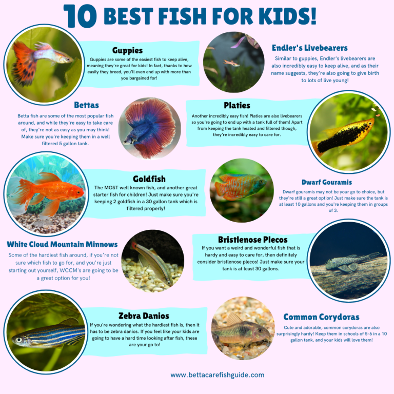 11 Best Fish For Kids (& Why They're So Great)